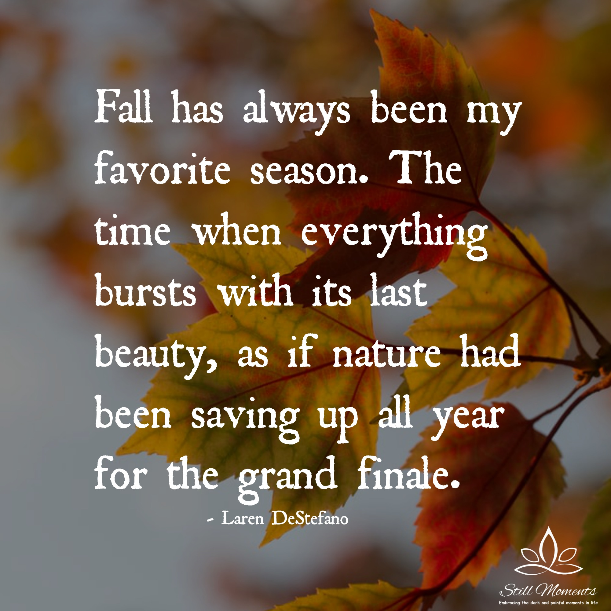 Favorite Fall Quotes - Still Moments