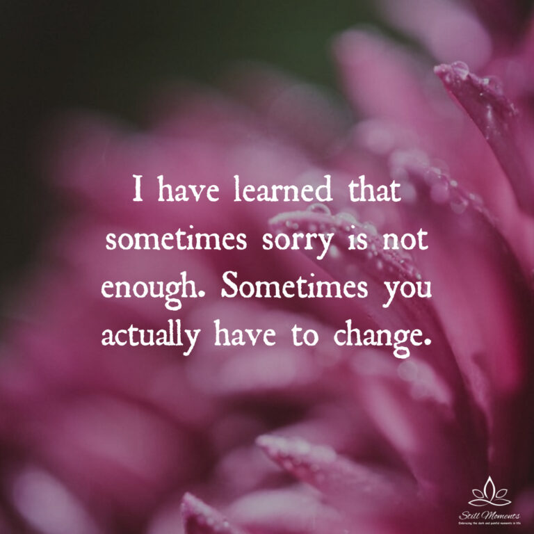 I’ve Learned That Sometimes Sorry Is Not Enough - Still Moments