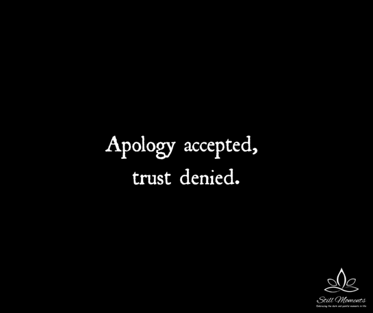 Apology Accepted, Trust Denied - Still Moments